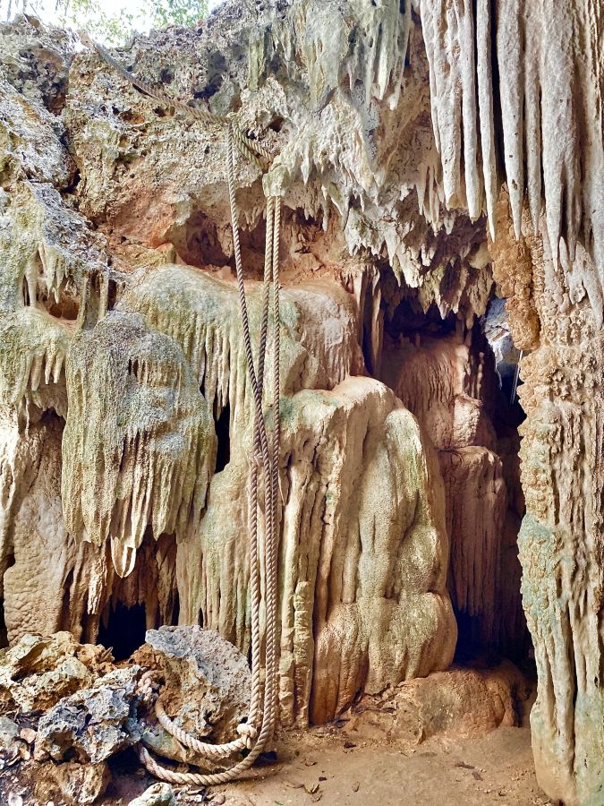 Kajmany-co zobaczyć? - baza Fragmentator